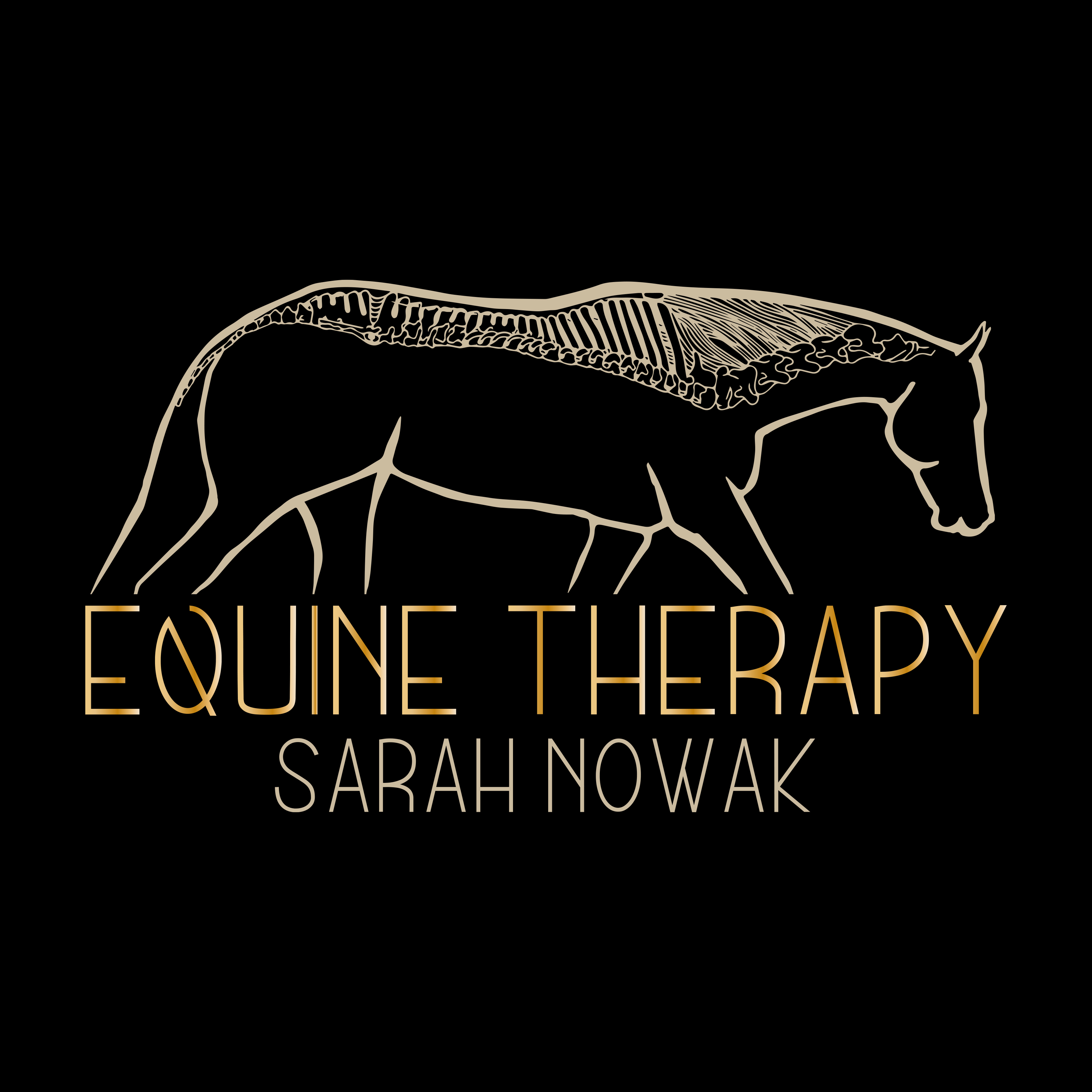 Equine-Therapy Sarah Nowak Mönchengladbach